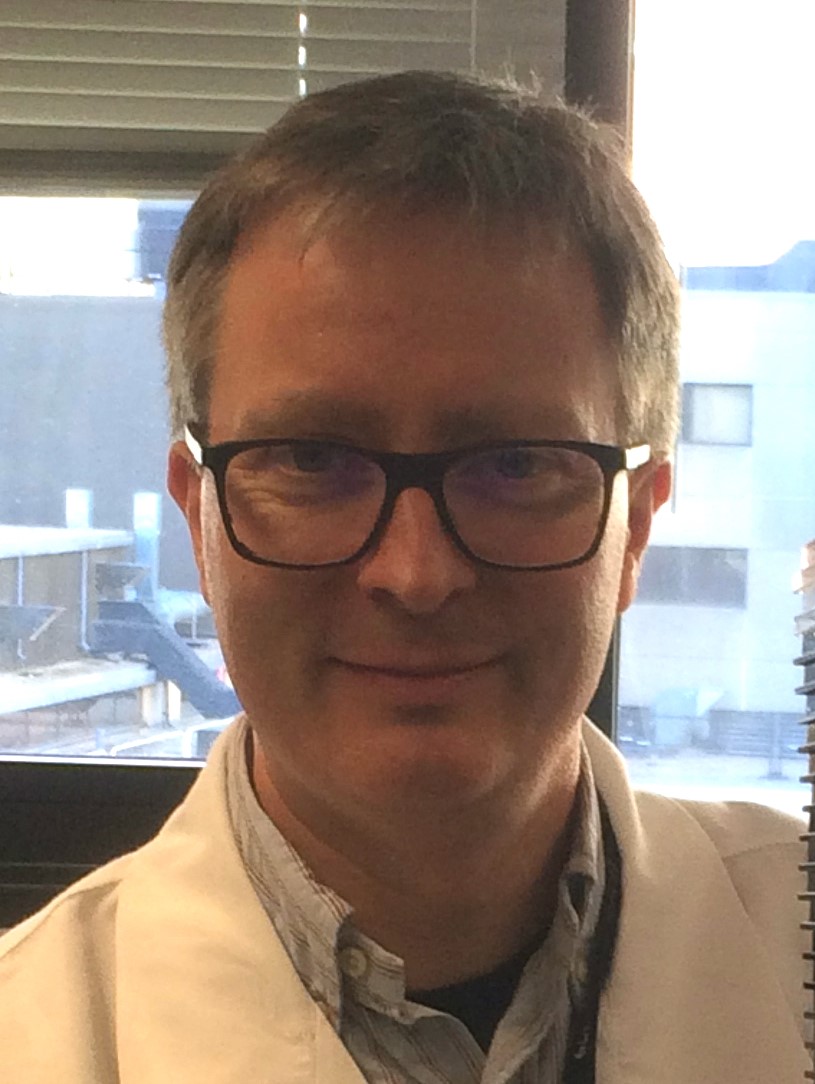 Professor Jon Gibbins – University Council