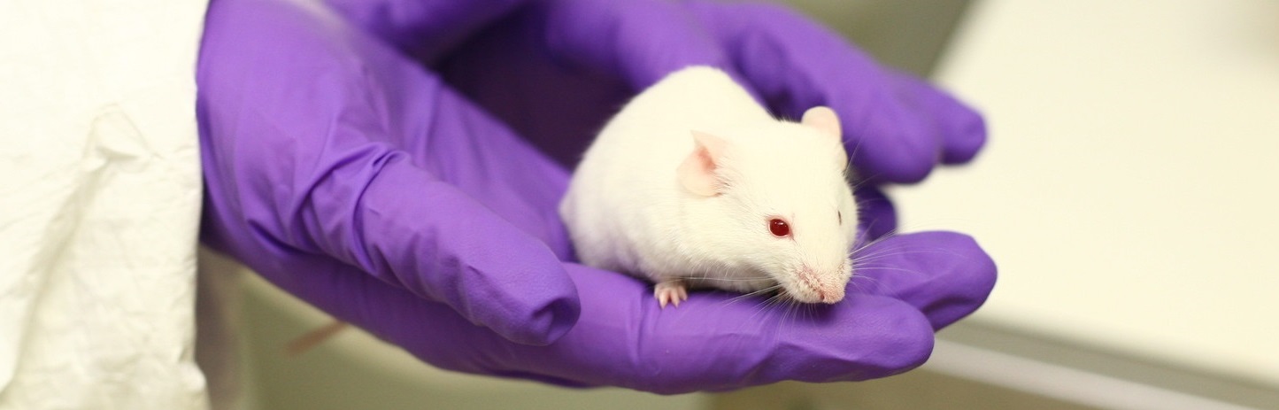 Research environment